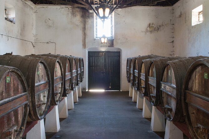 Historic Winery Tour and Tasting in Bombarral - What’s Included in the Tour?
