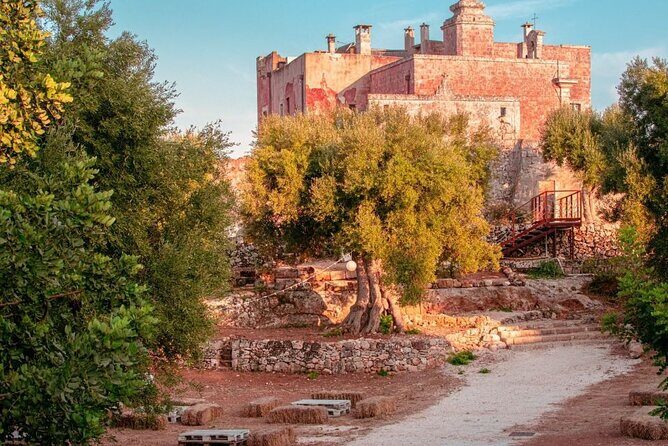 Historical Tour of Rural Park with 3 Apulian Wines Tasting - Why This Tour Stands Out