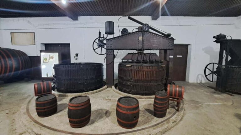 HISTORY WINE & ROYALTY (Avala mountain  Topola  Oplenac) - The Value of This Tour