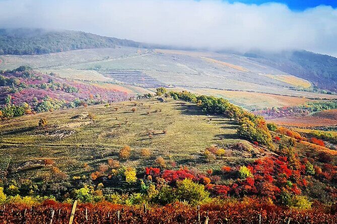 Home to Bull's Blood red wine! Eger with winetaste private tour - Exploring the Itinerary in Detail
