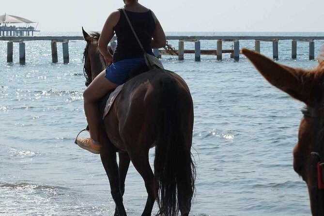 Horse Riding on the Beach in Side - Group Size, Guides, and Safety