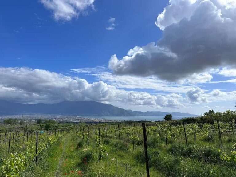 Horseback Ride on Mt. Vesuvius - What Makes This Tour Stand Out