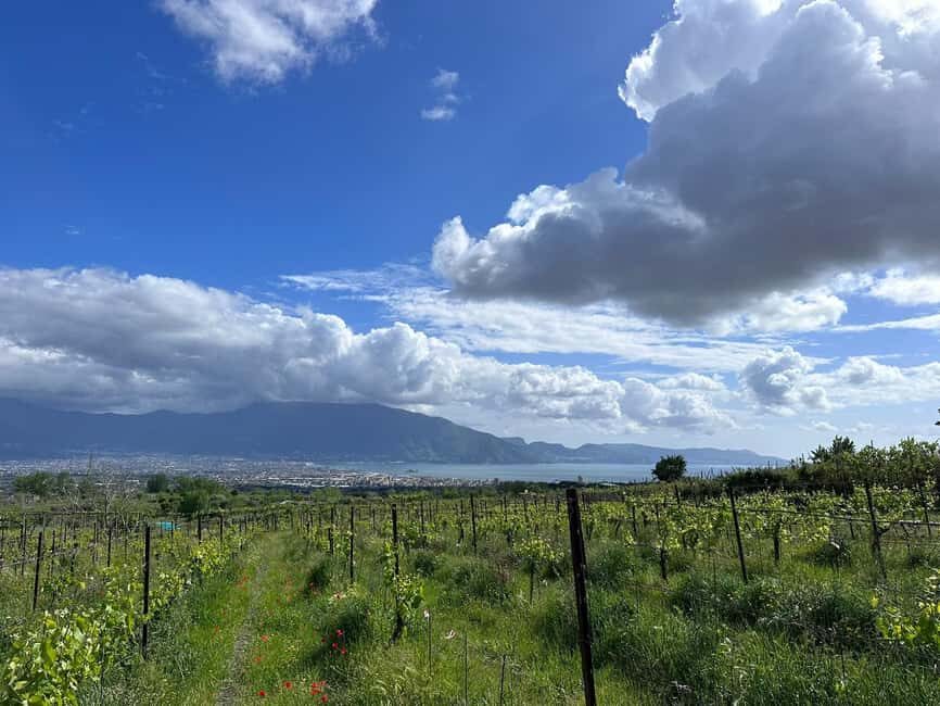 Horseback Ride on Mt. Vesuvius - What Makes This Tour Stand Out