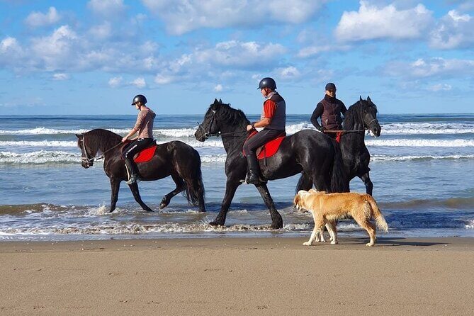 Horseback Riding Adventure in Durrës for Experienced Riders - An Authentic Equestrian Experience Near Durrës