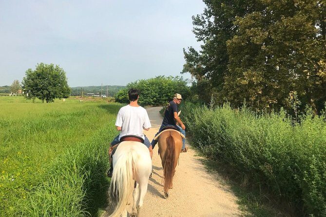 Horseback riding and wine tasting - Why This Tour Offers Great Value