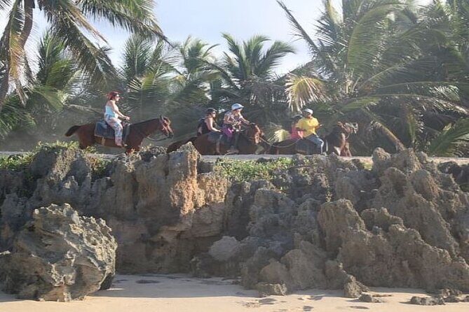 Horseback Riding to Maimon River from Punta Cana - Is This Tour Right for You?