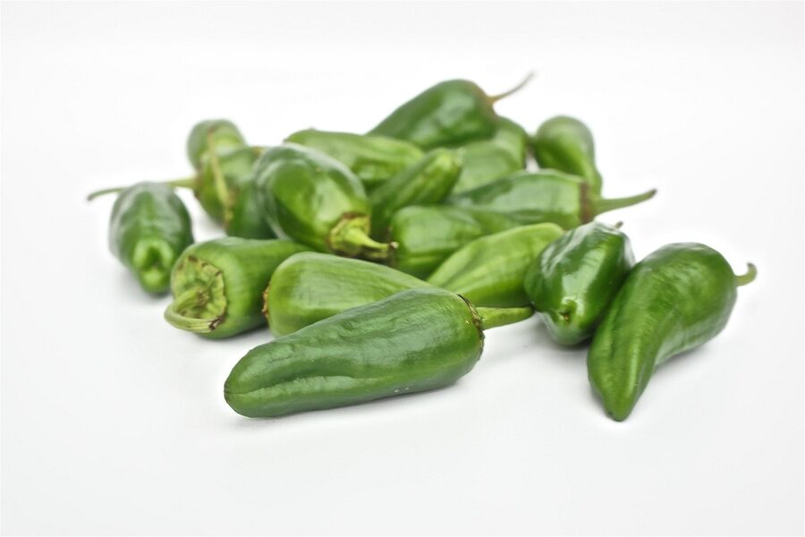 Pimientos de padrón classic Spanish starter