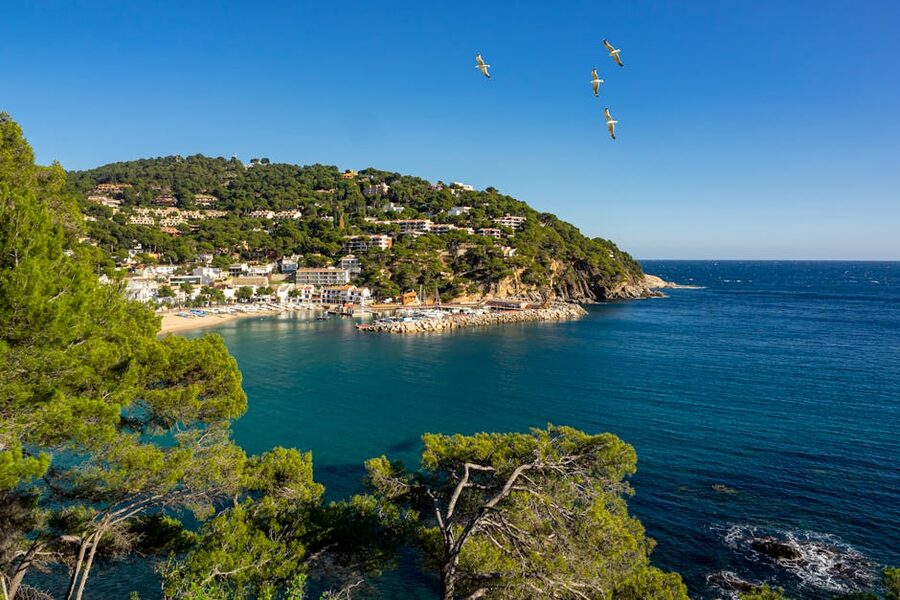 Aerial view of Llafranc beach and curving promenade Costa Brava