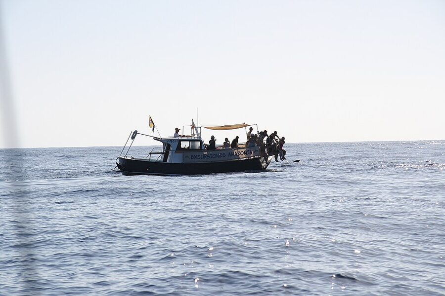 Tourist whale-watching boat with pilot whales in the channel toward La Gomera