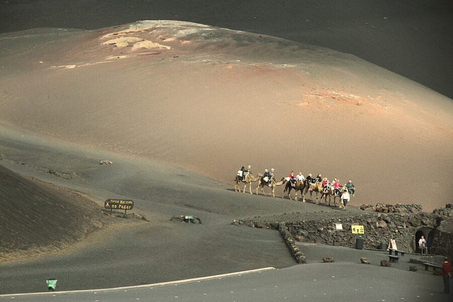 Camel caravan at Echadero de Camellos Timanfaya