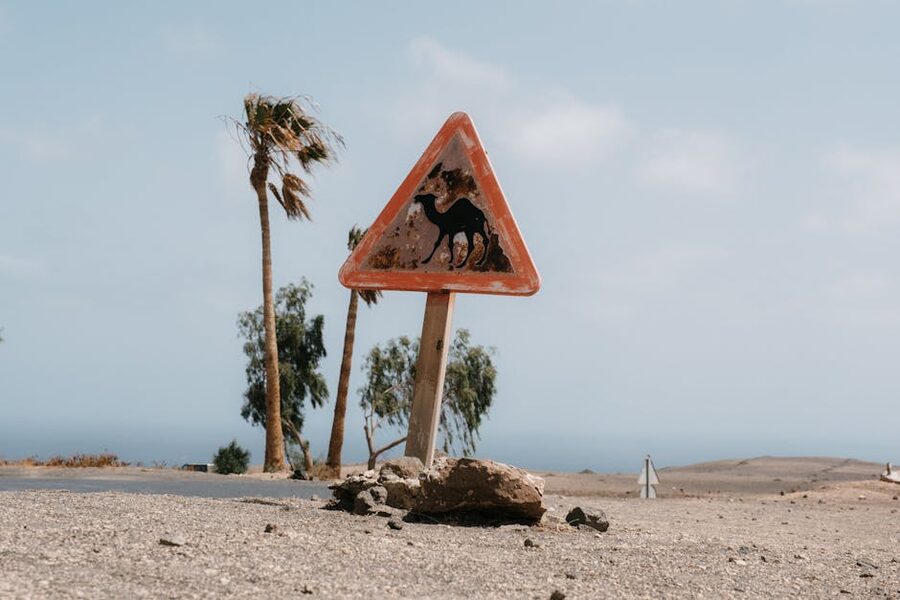 Camel crossing road sign in Lanzarote