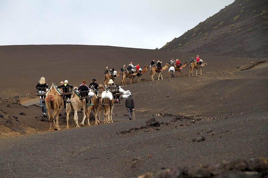 Camel station Echadero de Camellos waiting area