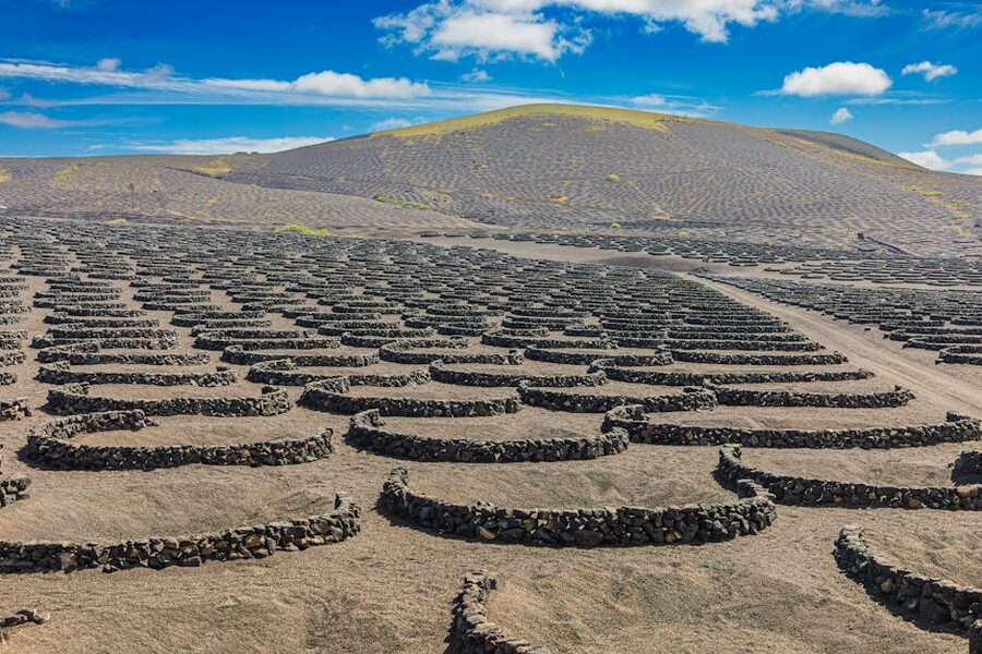 La Geria volcanic vineyards Lanzarote