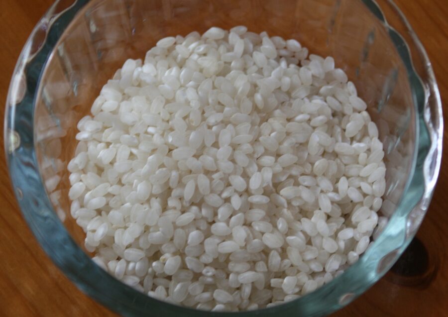 Bomba rice grains close-up