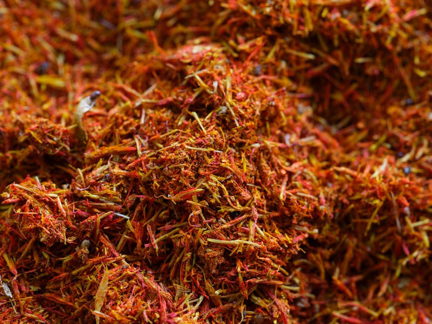 Saffron strands close-up before grinding for paella
