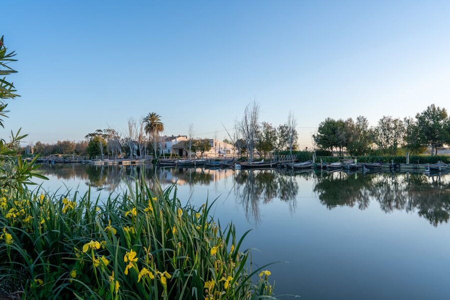 Albufera Lake at dawn from Catarroja