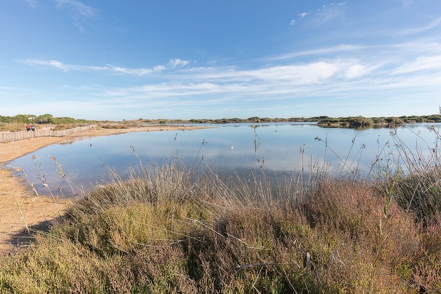 Lake Pujol Albufera Natural Park