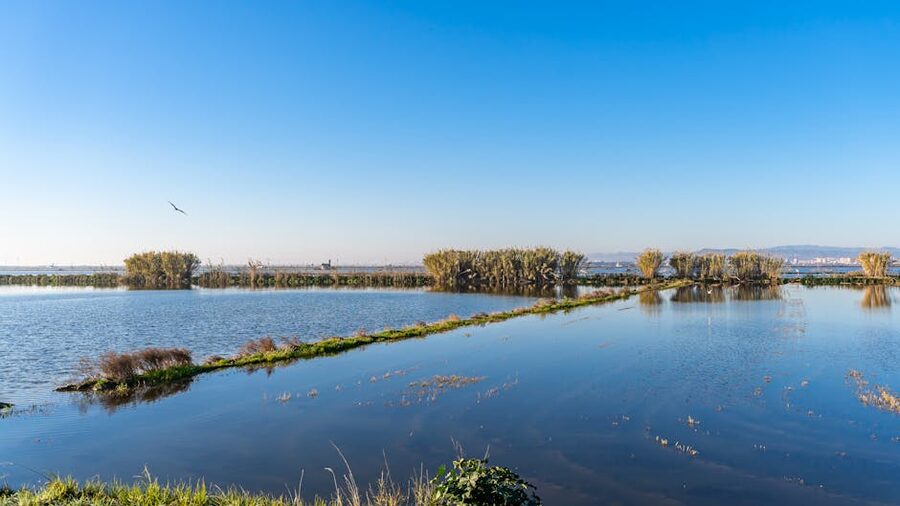 Albufera Lagoon at sunset Valencia