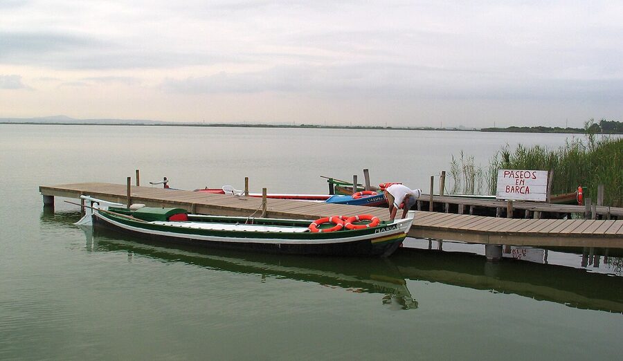 Lake Albufera Valencia from the shore