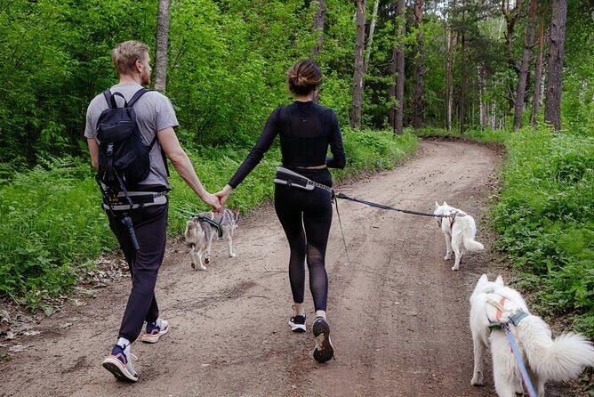 Husky Trekking in Natural Park near Vilnius - Who Would Love this Husky Trek?