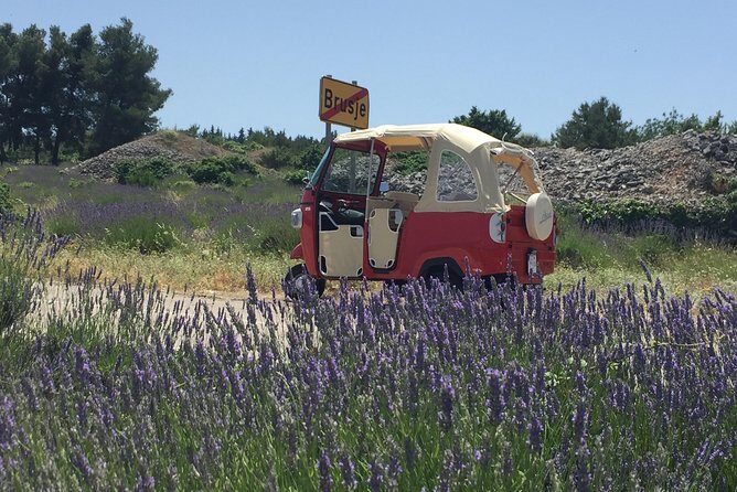 Hvar Private Walking Tour With A Professional Guide - What the Guides Bring to the Table