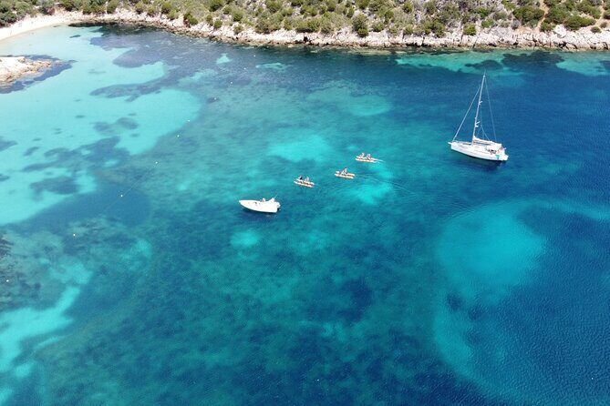 Hydrobike tour with aperitif and dolphins - The Experience: What to Expect
