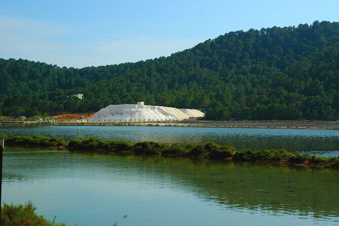 Ibiza Tour Island Bus Tour with Hippie Market Visit - Transportation, Timing, and Group Size