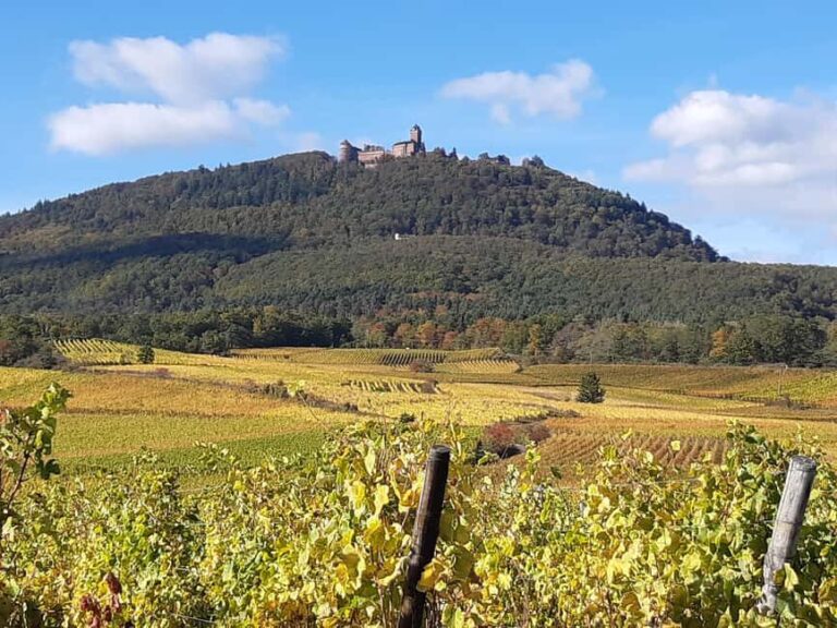 Iconics Typical villages & Haut Koenigsbourg castle - A Detailed Breakdown of the Itinerary