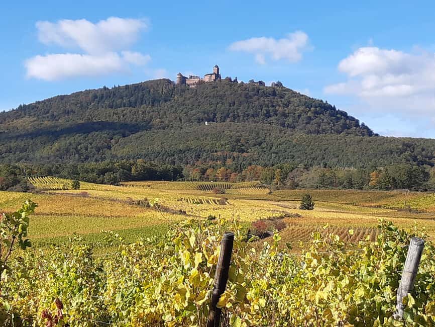 Iconics Typical villages & Haut Koenigsbourg castle - A Detailed Breakdown of the Itinerary
