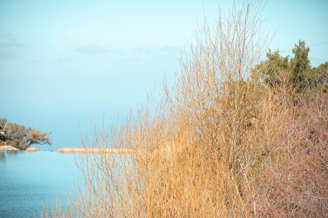 Ikaria Longevity, Family Winery & Wellness - Cost & Value Analysis
