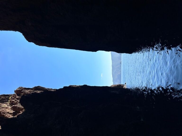 Ile Rousse : la réserve naturelle de Scandola - Who Will Love This Tour?