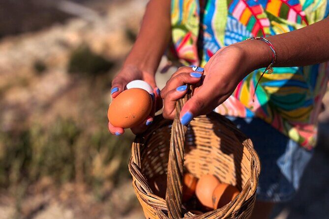Ios: Cooking Experience with Cheese and Wine Tasting - Why This Tour Is a Great Choice