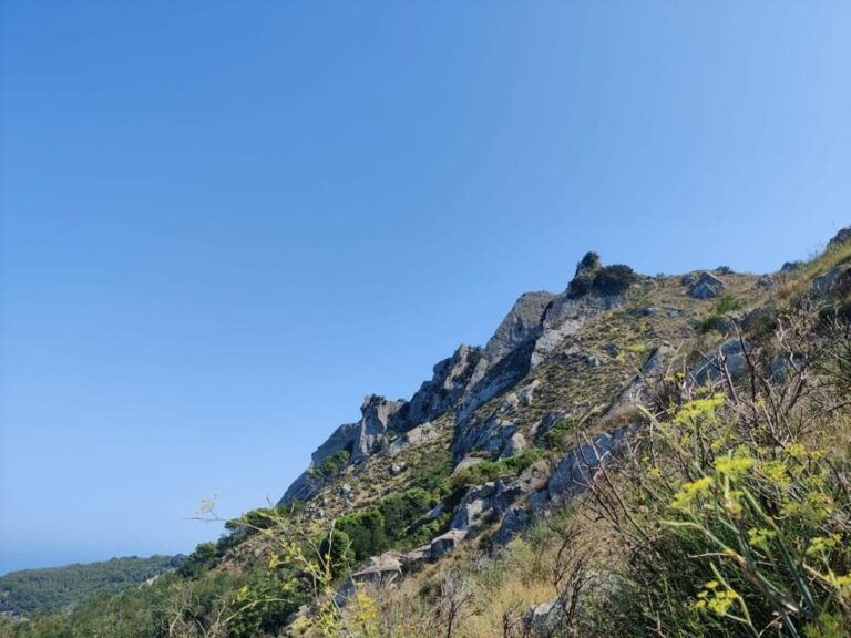 Ischia: Epomeo summit hike - Why This Tours’ Value is Clear