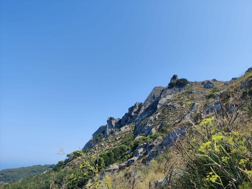 Ischia: Epomeo summit hike - Why This Tours’ Value is Clear