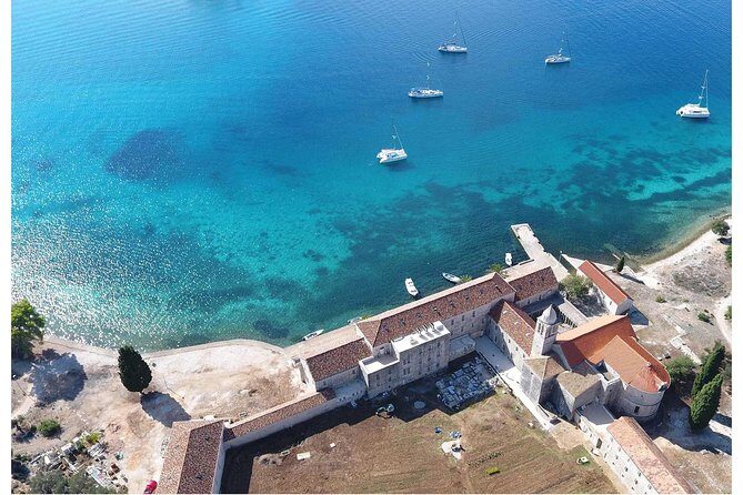 Island Badija - Yellow Taxi Cat - What to Expect from Your Trip