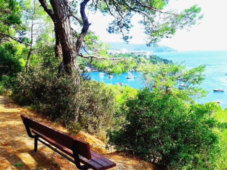 Istanbul: Princes' Islands Cruise with Lunch and Guide - Practical Details & Tips