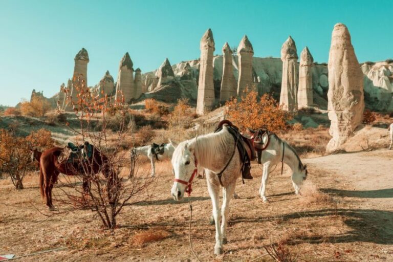 Istanbul to Cappadocia All Inclusive Private Day Tour - The Verdict: Who Will Love This Tour?