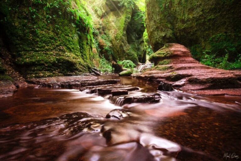 Join the Dark Side of Magical Nature - Is This Tour Worth It?