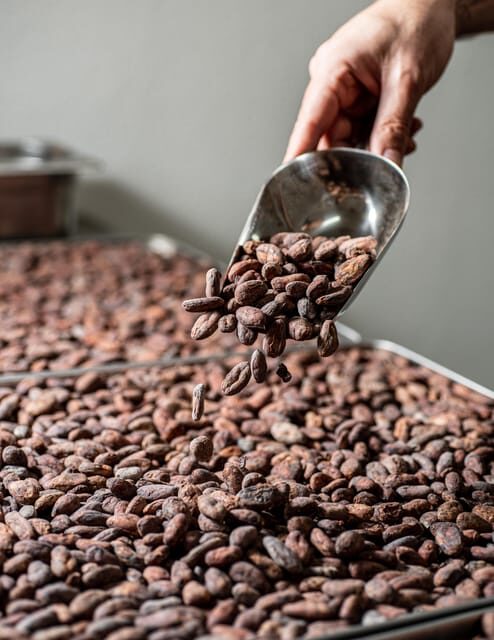 KAIACAO Bean to Bar and Design your own chocolate experience - Practical Details and What It Means for You