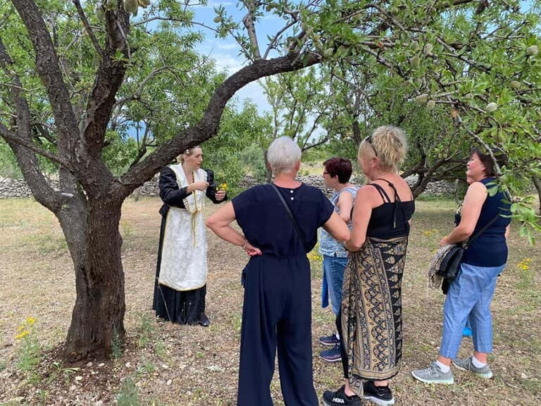 Kastela: Wine & Olive Tasting Tour w/Delicacies & Live Music - Exploring the Farm and Orchard
