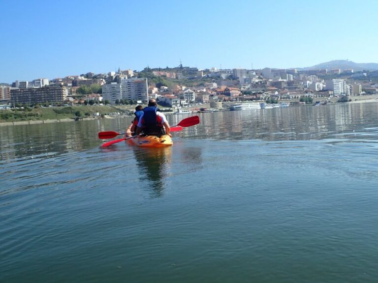 Kayak - Douro Valley - Why This Kayak Tour Is Worth Considering