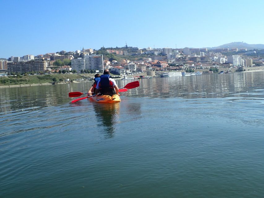 Kayak - Douro Valley - Why This Kayak Tour Is Worth Considering