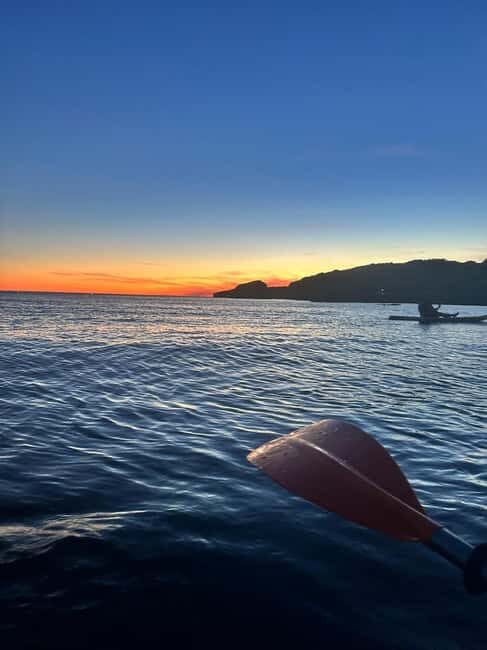 Kayak Tour - Secret Caves and Beaches of the Algarve (Algar dos Capitães) - Authentic Experiences and Insider Tips