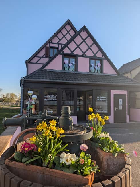 Kaysersberg Vineyard Discover the vineyard and wine, Domaine Meyer-Krumb - Authenticity & What Sets It Apart