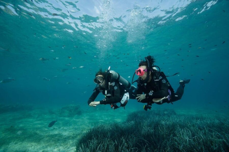 Kefalonia: Beginner Scuba Diving at Agia Efimia Village - An Honest Look at the Kefalonia Beginner Scuba Tour