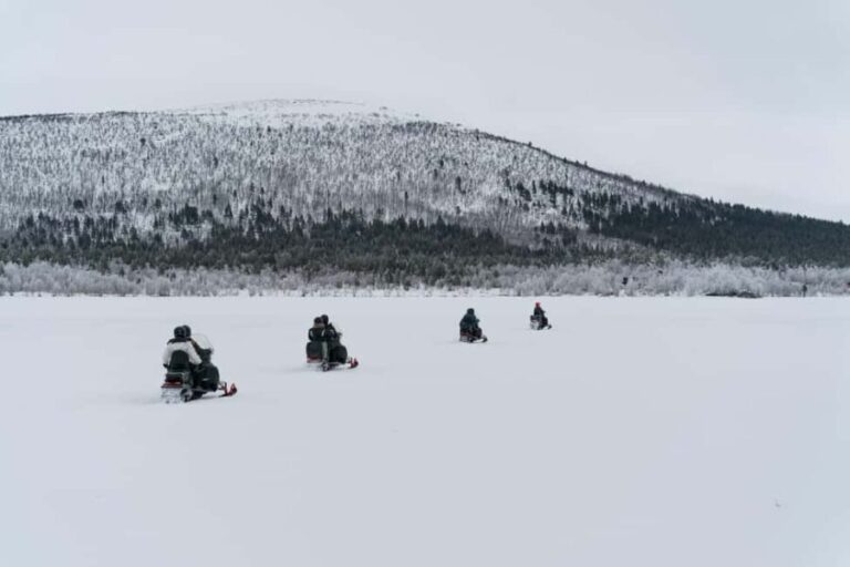 Kiruna: Small Group Snowmobile with Snacks - Is It Worth the Price?