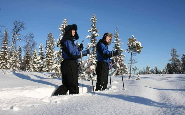Kiruna: Snowshoe Trek with Warm Beverage and Sandwich - The Value of the Experience