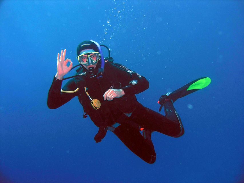 Kusadasi: Scuba Diving for Beginner or Experienced w/ Lunch - Final Thoughts