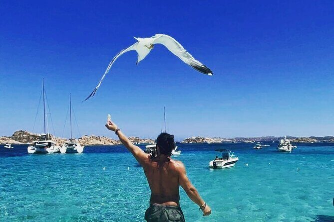 La Maddalena Archipelago Boat Tour with lunch - The Sum Up: Who Is This Tour Perfect For?