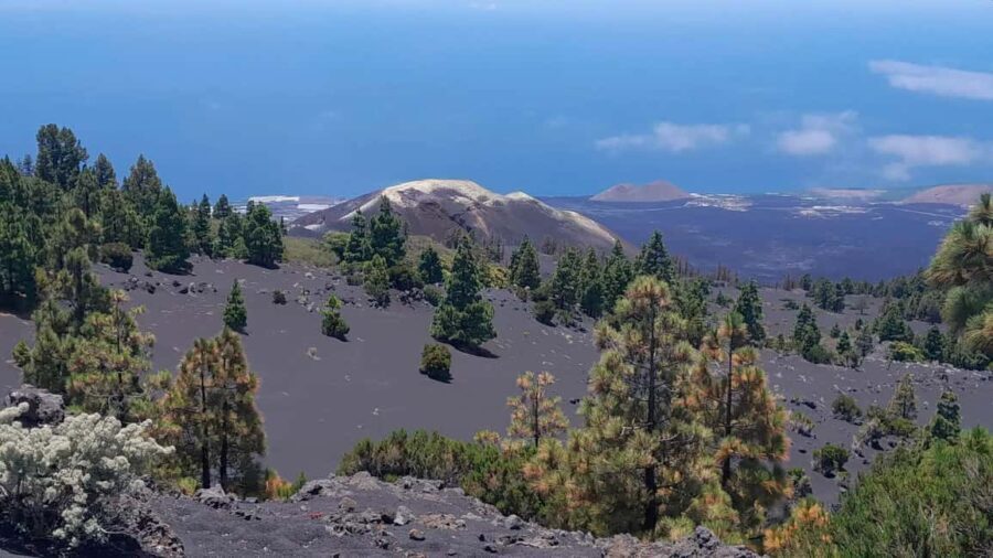 La Palma: Guided e-bike tour (trekking) - The Guide and Experience Quality
